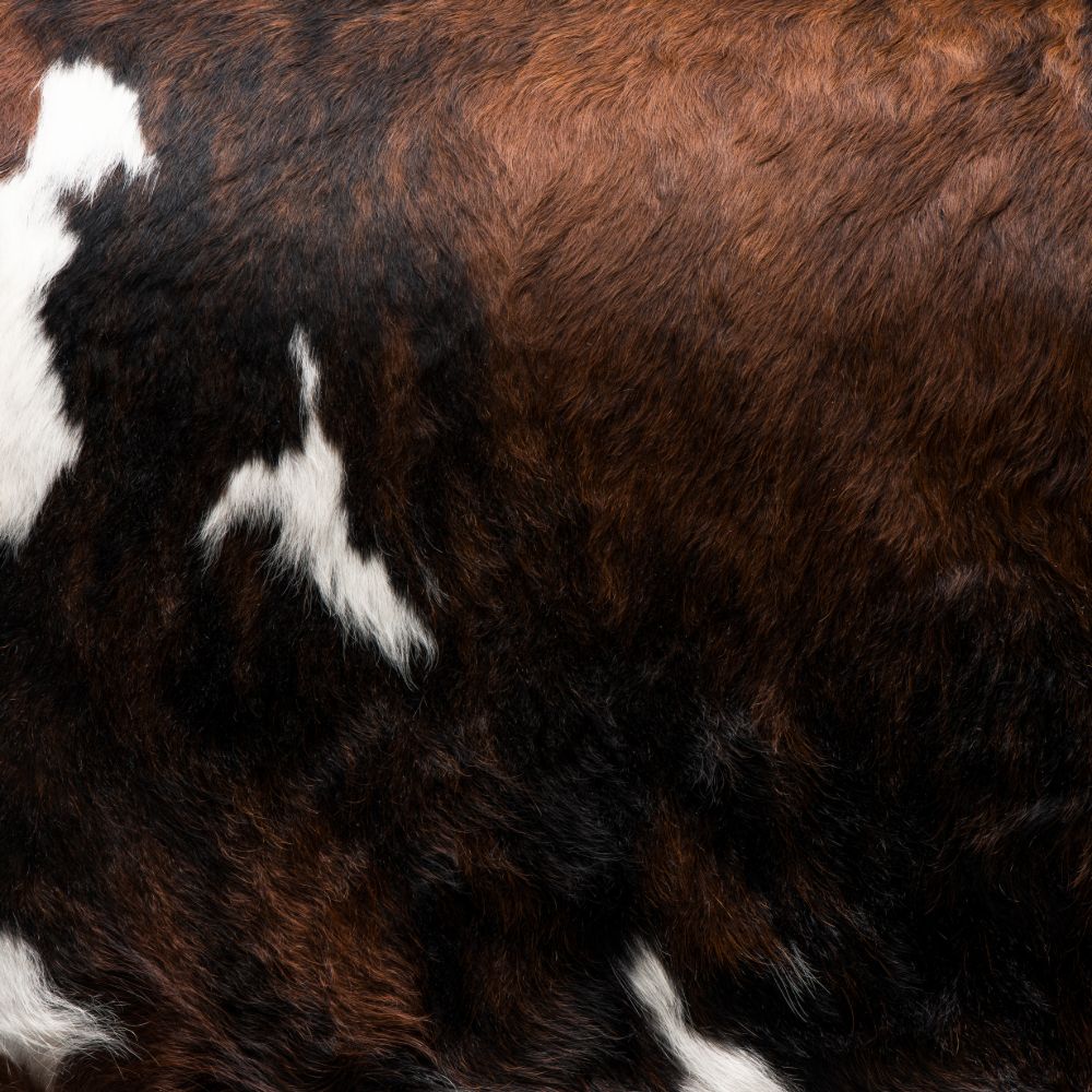 TriColor – AMBROZIA Furniture